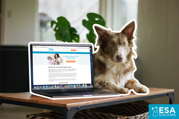 How To Register My Dog As An ESA Tip 1 Don t ESA Doctors