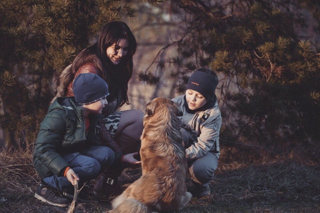 Legitimate Emotional Support Animal Registration ESA Doctors