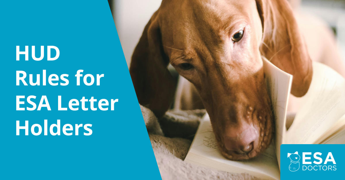 An Easy Guide to HUD's Rules for ESA Letter Holders