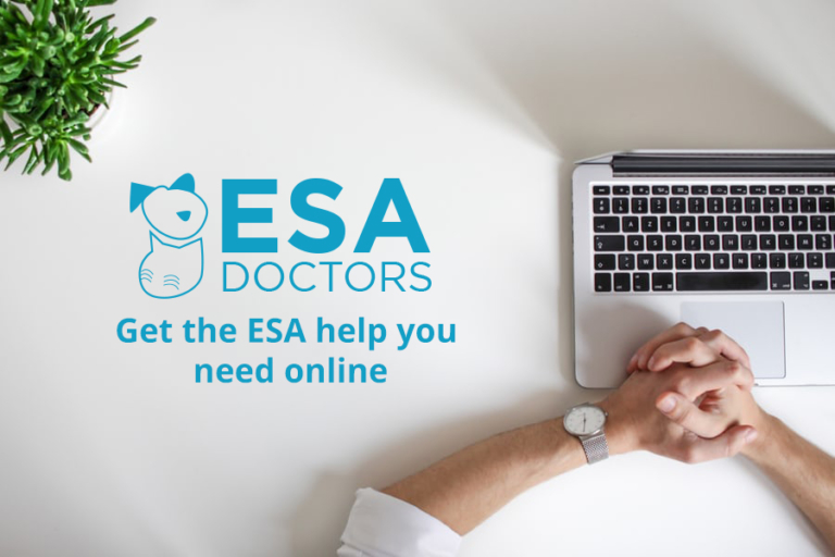 Can An LCSW Write An ESA Letter ESA Doctors