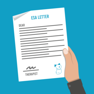 Can A Primary Care Physician Write an ESA Letter? - ESA Doctors