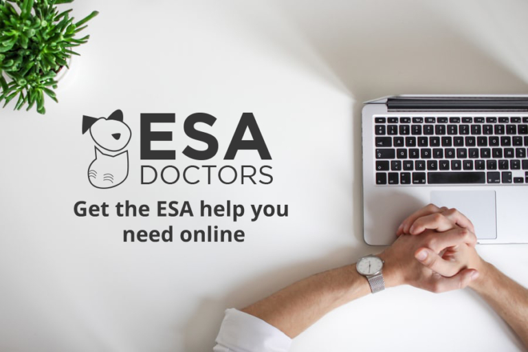 Remote Online ESA Services From Licensed Therapists - ESA Doctors