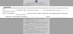 How to do The DOT & TSA Service Animal Form: Easy Guide