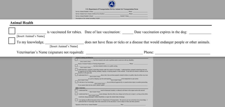 How to do The DOT & TSA Service Animal Form: Easy Guide