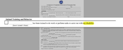 How to do The DOT & TSA Service Animal Form: Easy Guide