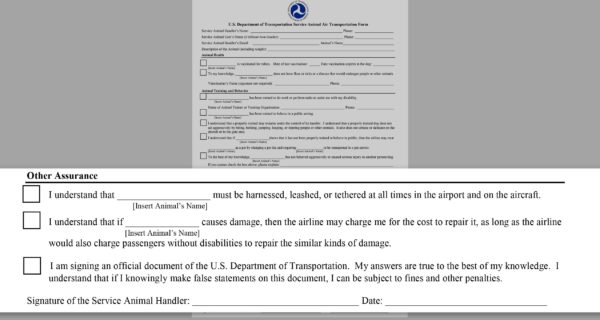 How to do The DOT & TSA Service Animal Form: Easy Guide
