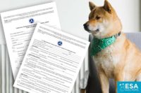 How to do The DOT & TSA Service Animal Form: Easy Guide