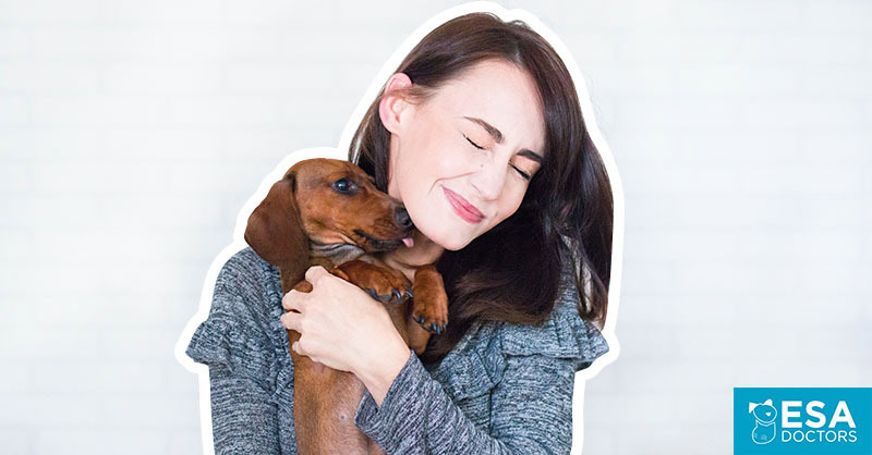 Everything You Need to Know About Emotional Support Animals - ESA Doctors
