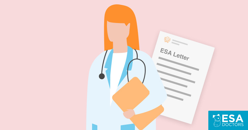 Can An OB GYN Write An ESA Letter ESA Doctors