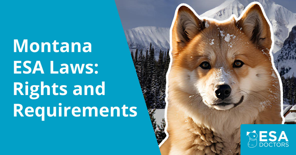 Montana Emotional Support Animal Laws - ESA Doctors