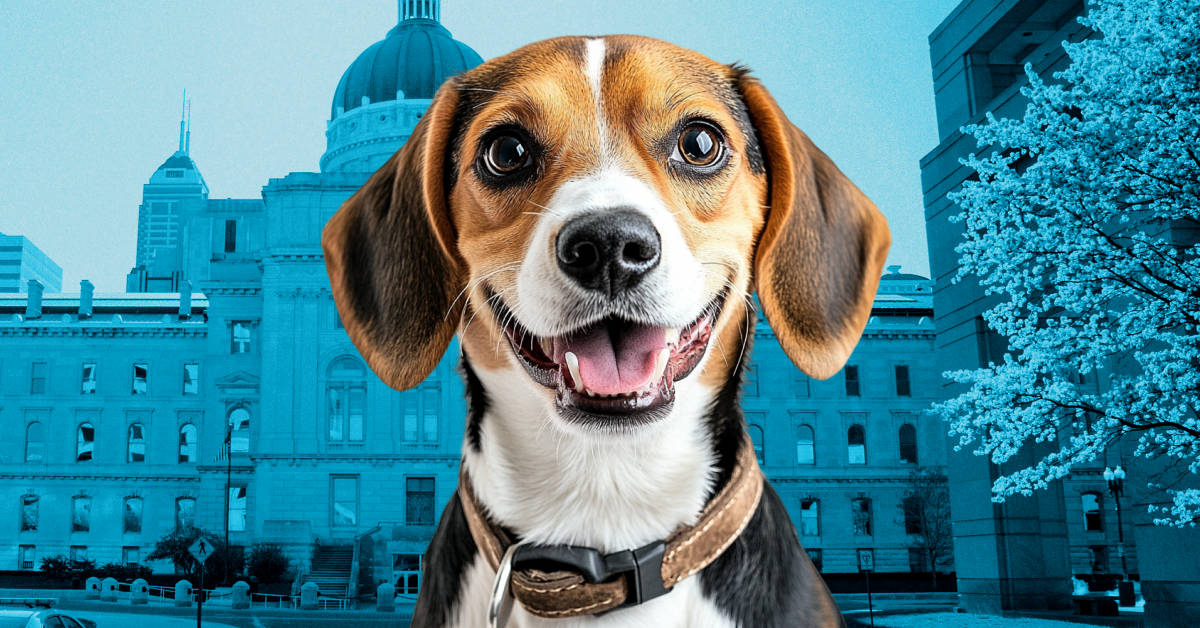 Get an ESA Letter in Indiana in 3 Easy Steps