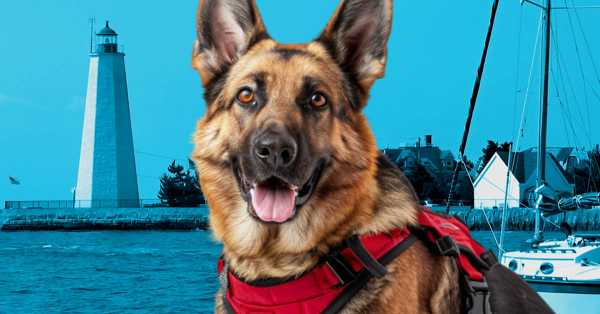 Get an ESA Letter in Connecticut in 3 Easy Steps