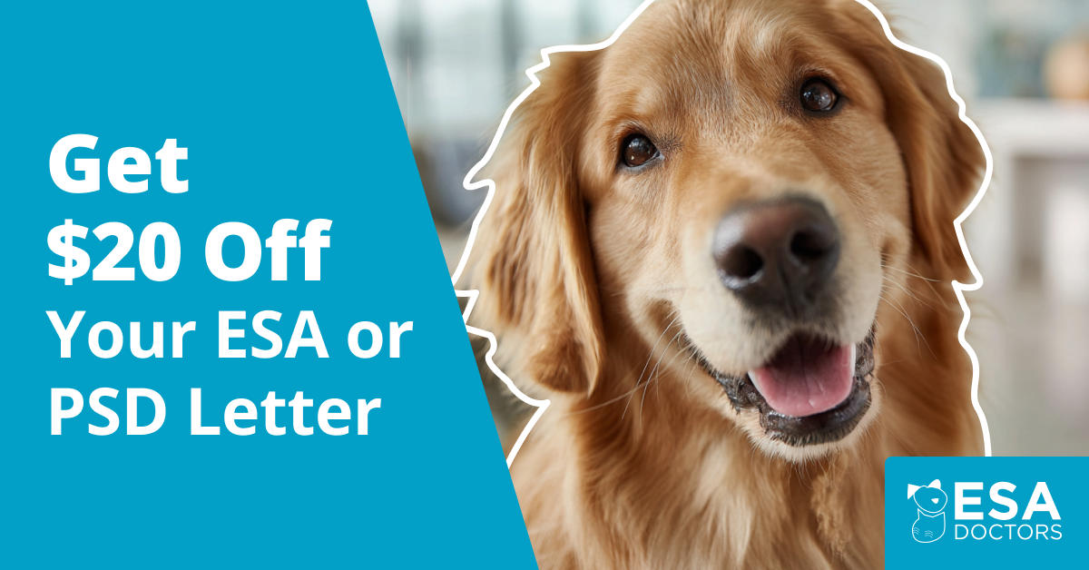 Save $20 on ESA and PSD Letters